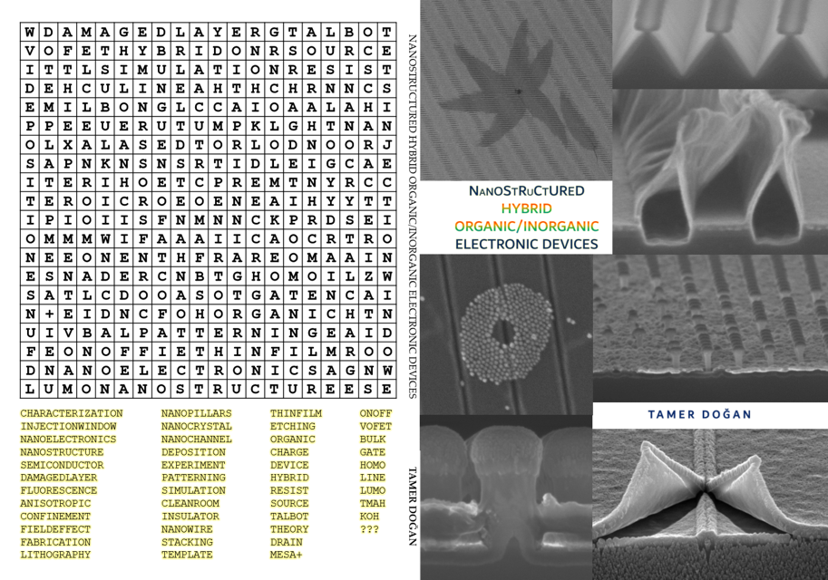 PhD Defence Tamer Doğan