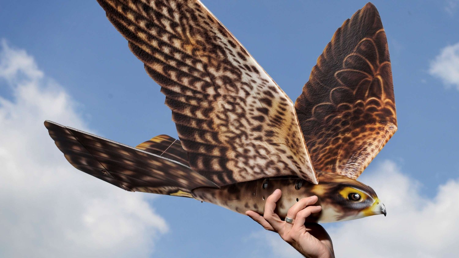 New fluid dynamics provide the flying robotics of the future