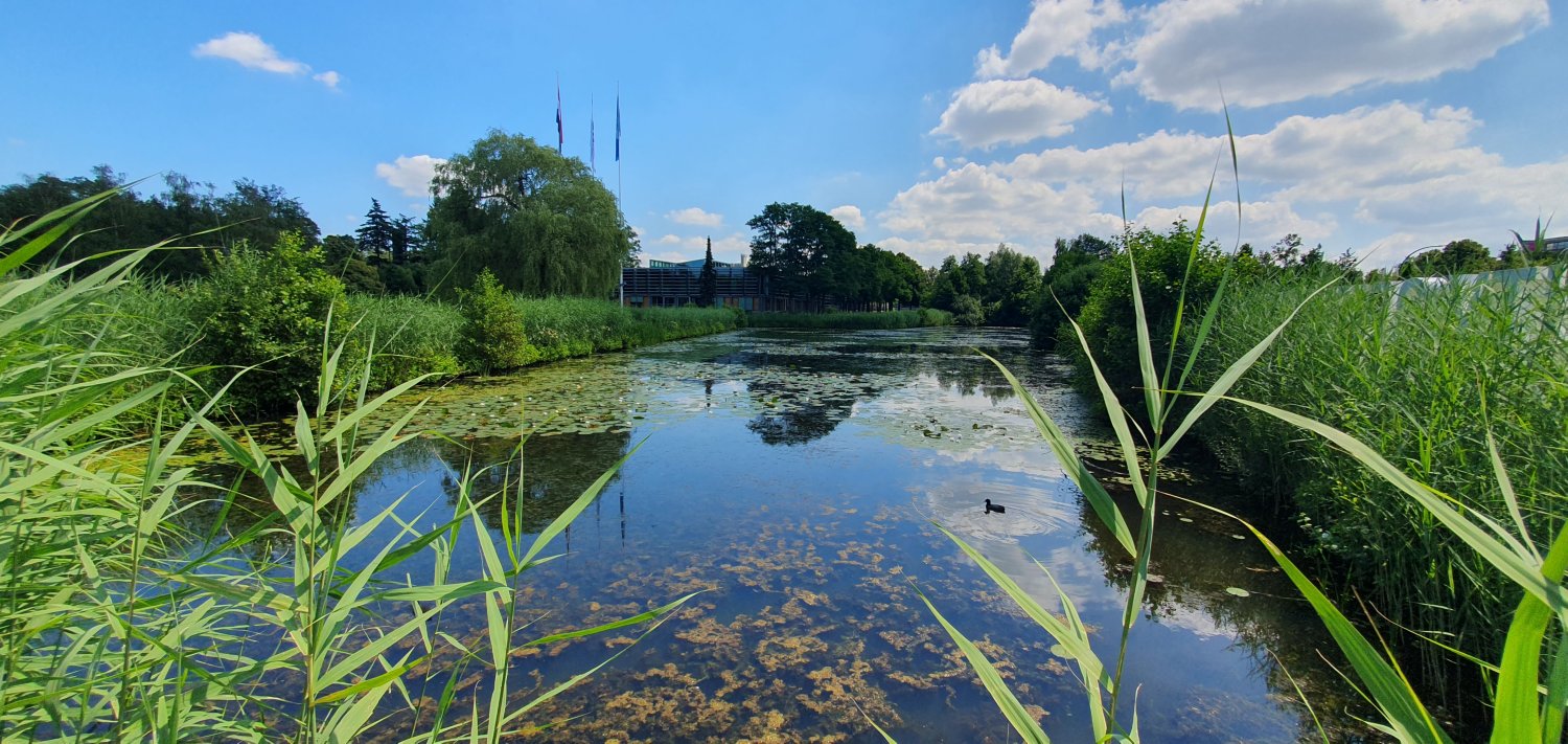 AlignSAR | Projects | Home ITC