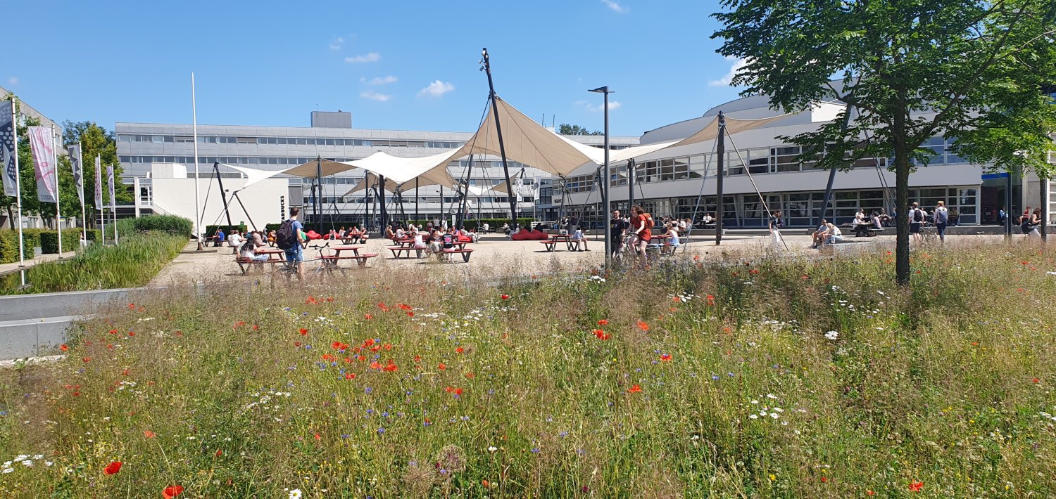 Disastrous Information: Embedding "Do No Harm" principles | Projects | Home ITC