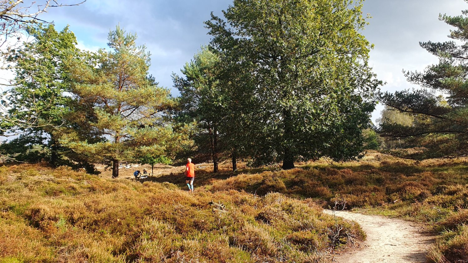 NWO grants six-year project into Climate and Nature in the Netherlands