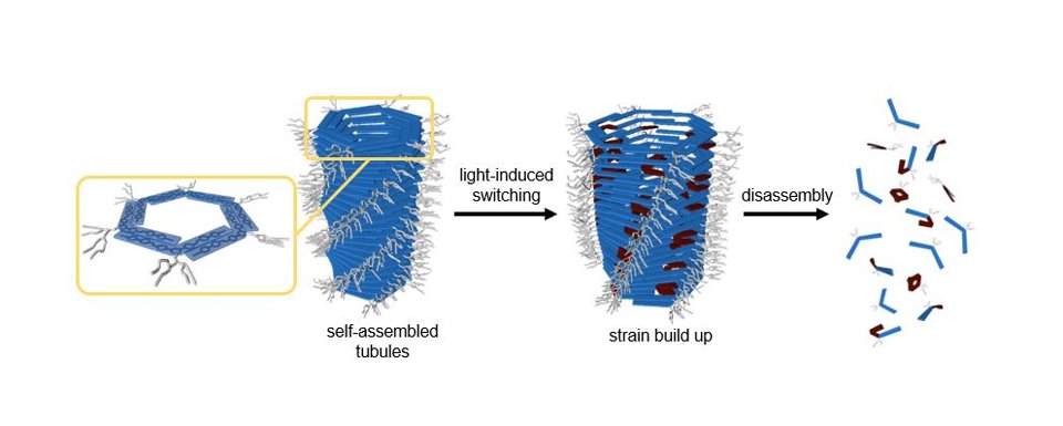UT developing a new type of synthetic molecular machine