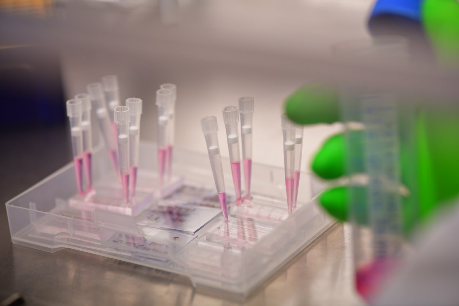 Our research: Organs-on-Chips