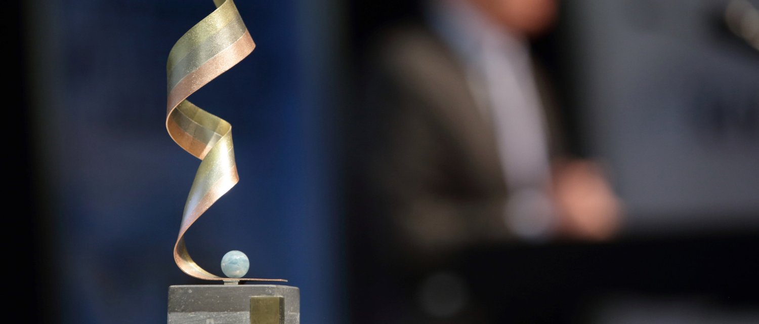 David Fernandez Rivas wint Prins Friso Ingenieursprijs 2021