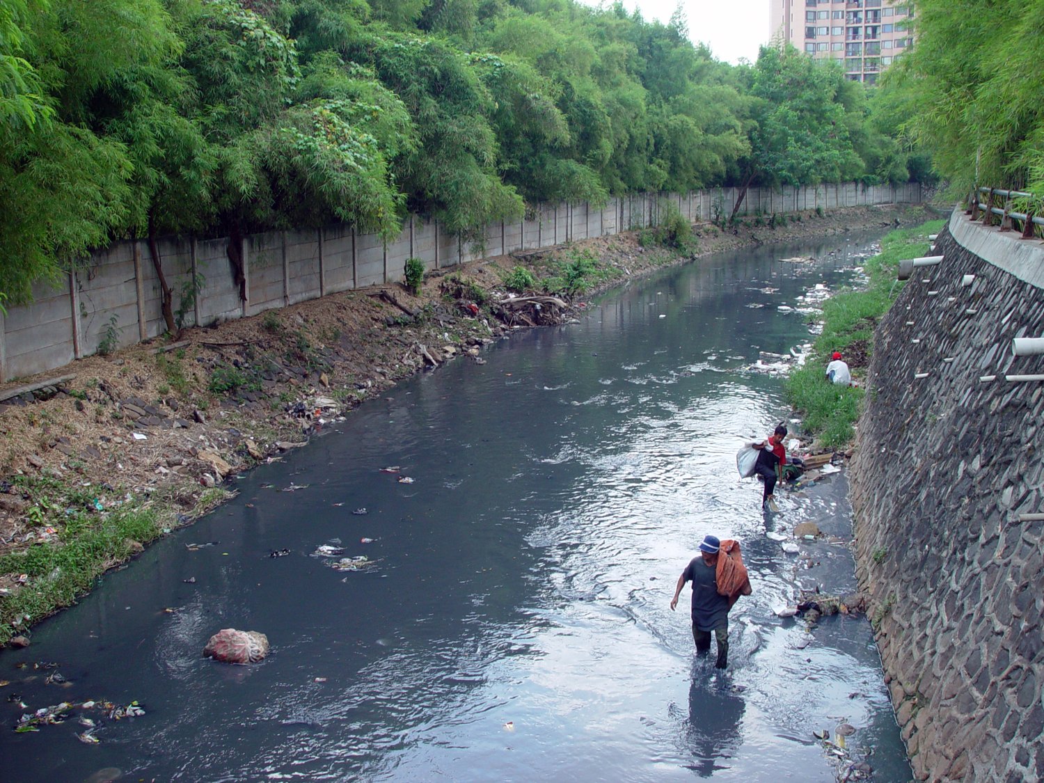Cleaning up the Citarum River