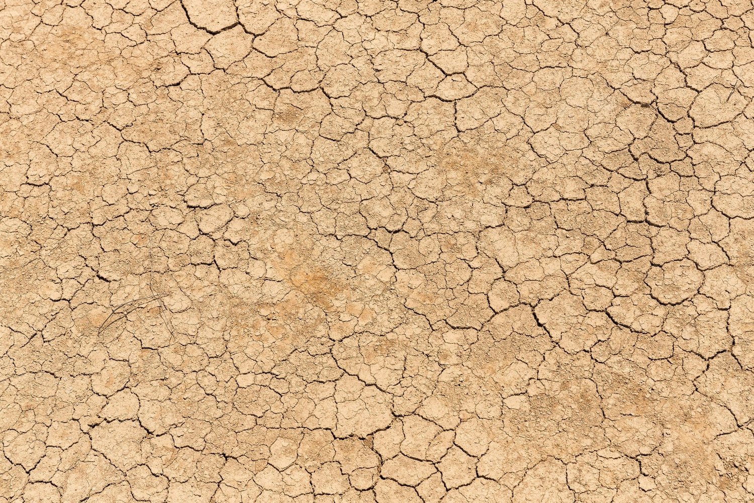 MOOC on Drought Assessment and Monitoring from Space