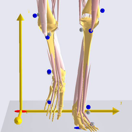 Navigation system for human body