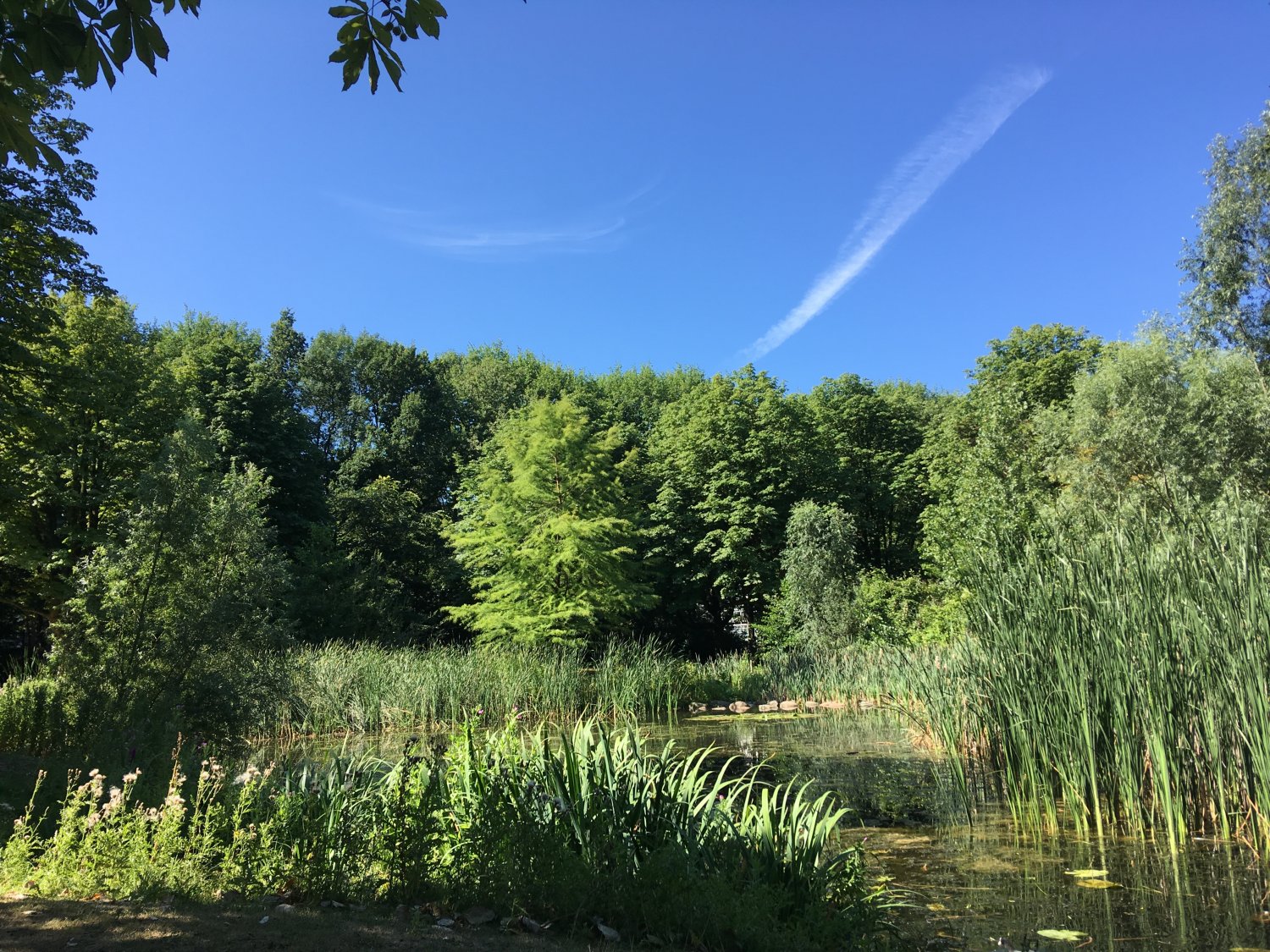 Projects | Piloting a co-design approach for climate-sensitive blue and green spaces with ...