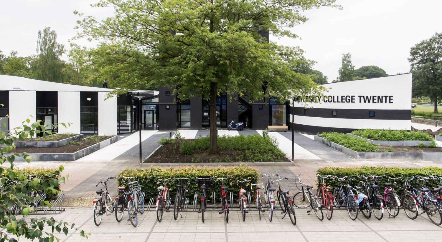 UT phases out Technology and Liberal Arts and Sciences (ATLAS) bachelor ...