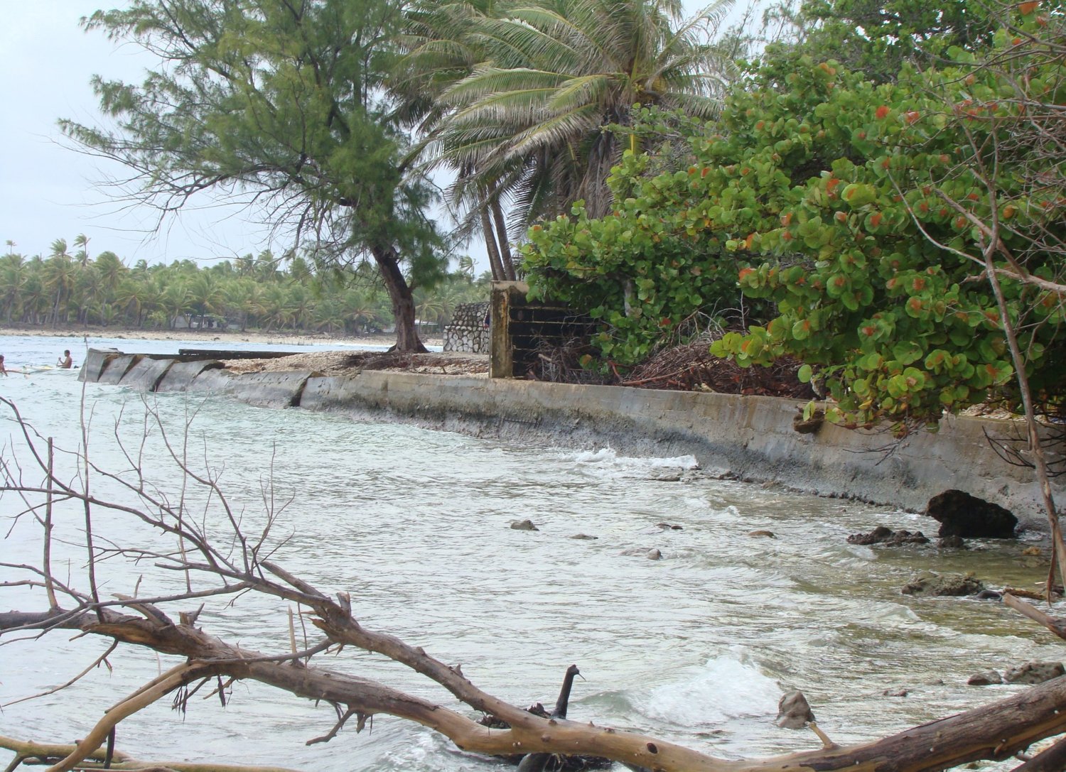 Navigating Successful Climate Adaptation