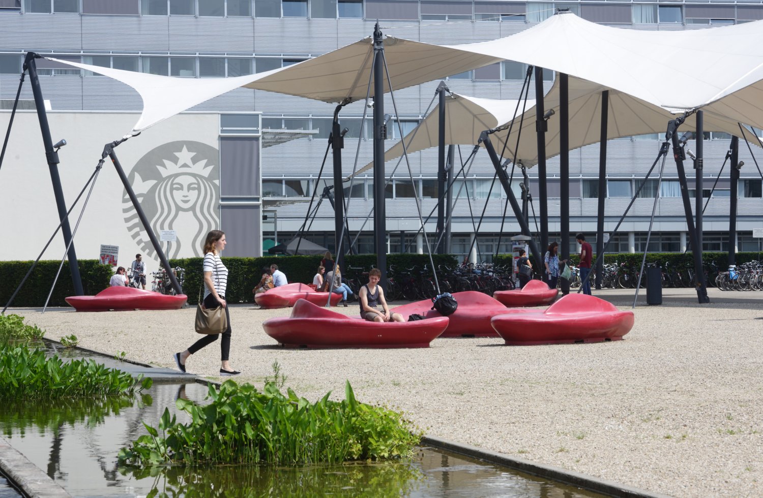 Meet the multi-member faculty boards