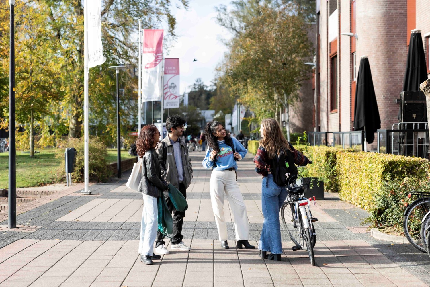 Reasons to study in the Netherlands