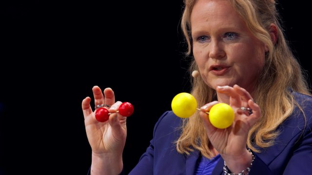 Kitty Nijmeijer to lecture at online university