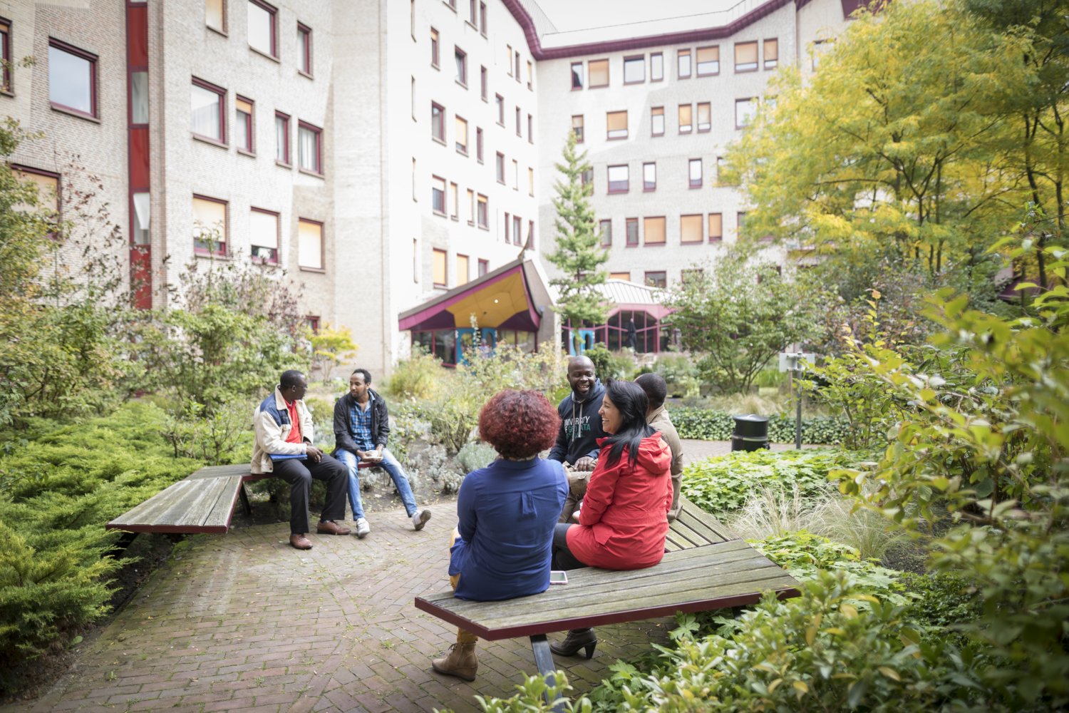 Starting European tender ITC design team