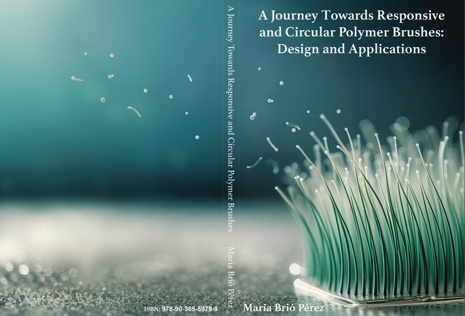 PhD Defence Maria Brió Pérez | A Journey Towards Responsive and ...