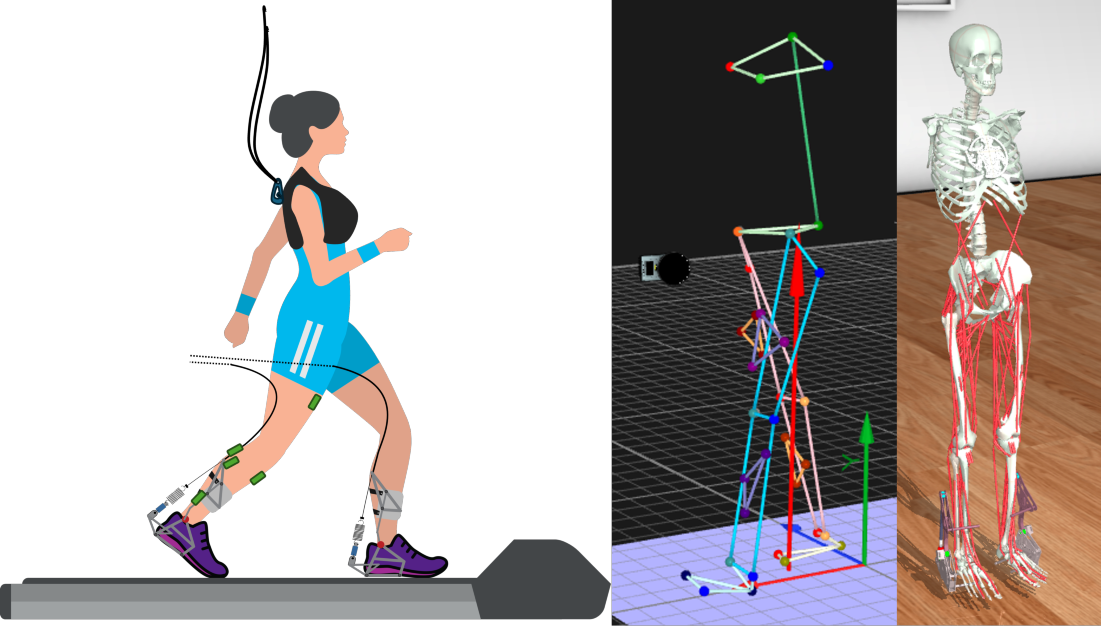 STAR interview: biomechanical engineering and robotic technologies with ...