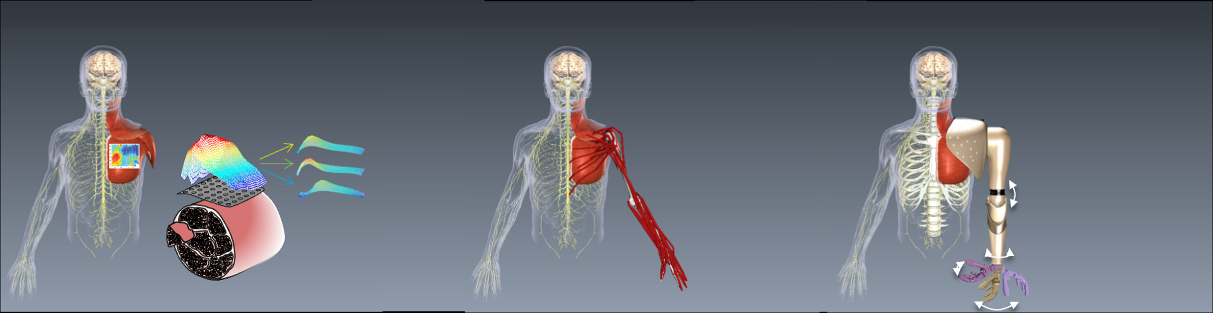 Revolutionising Wearable Robotics Through Open Source Innovation